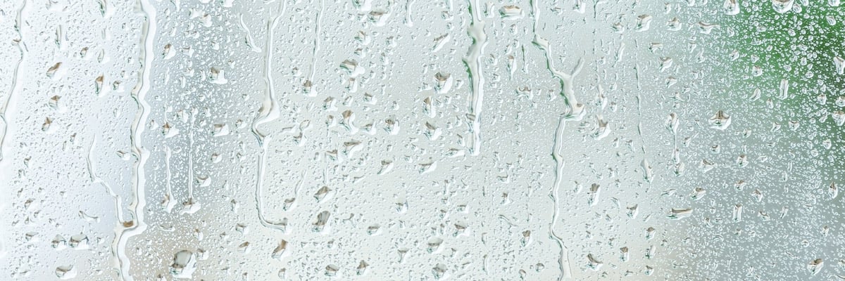 Glass Front Door Privacy: Tips and Tricks